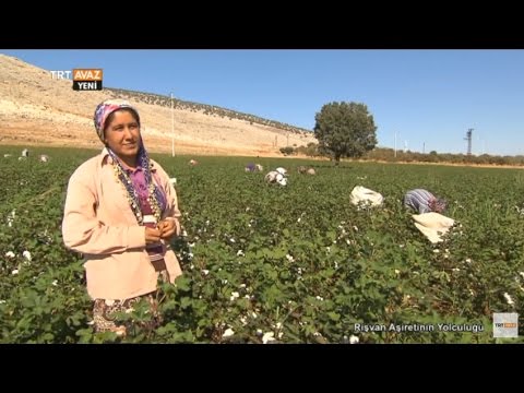 Rişvan Aşiretinin Yolculuğu - Uzayan Kökler -  4. Bölüm - TRT Avaz