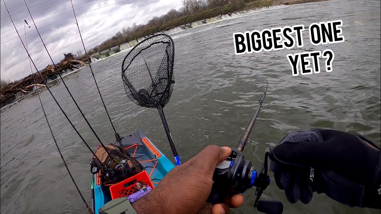 The biggest one yet? | Fish Ohio Record - YouTube