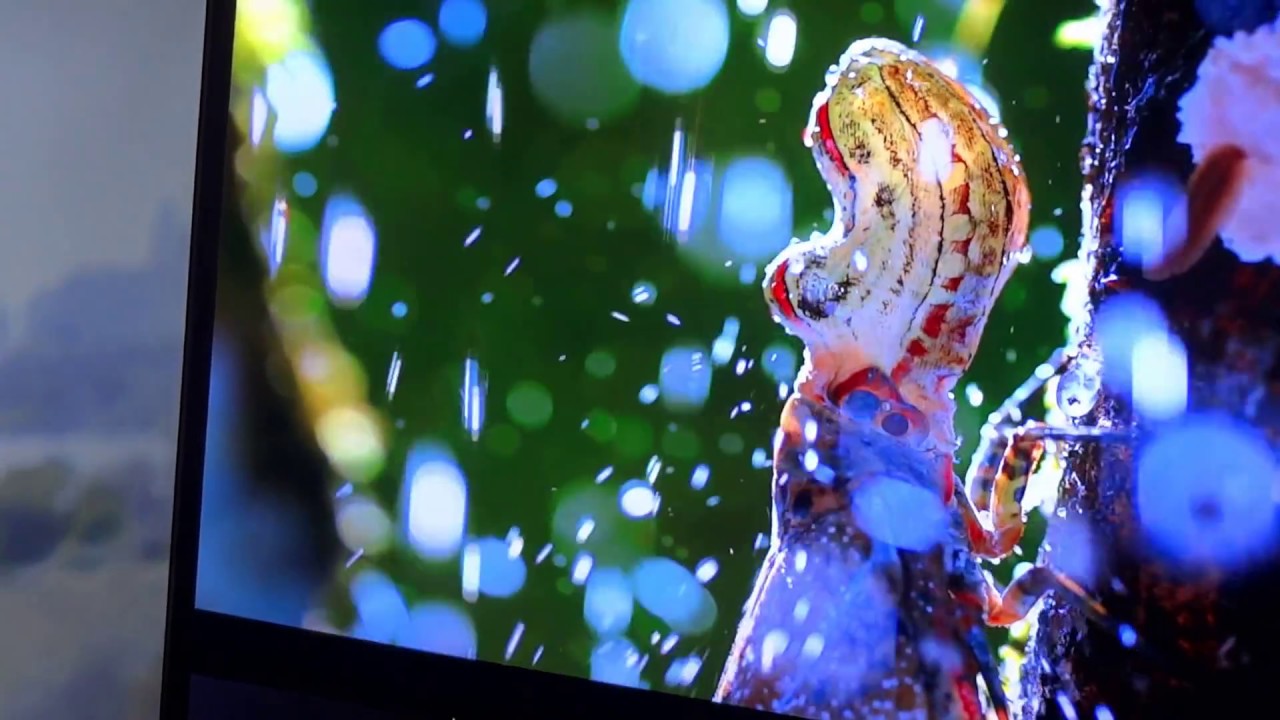 Full Hd 1080i VS 4k HDR - YouTube