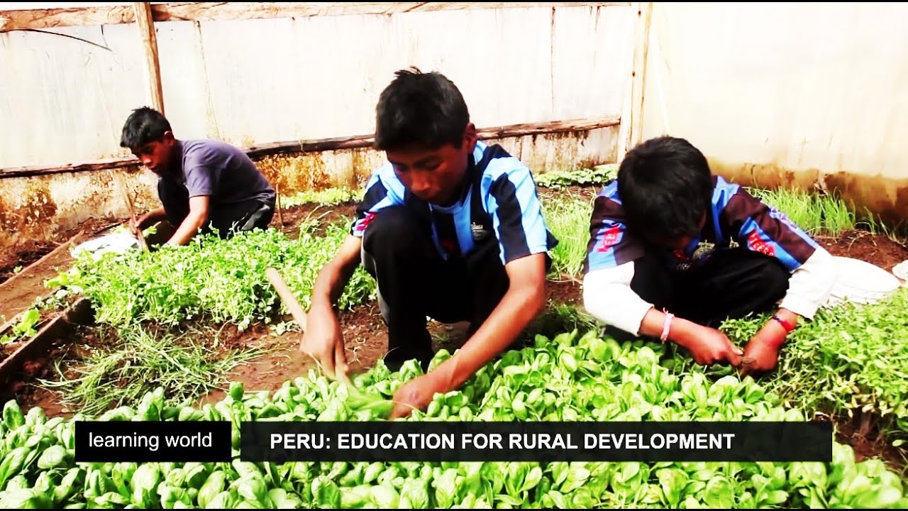 Peru: Rural communities benefit from schools' agri-business plan ...