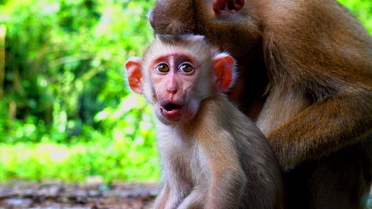 Angela well hug by Luna, carry her to shade at noon, cling to find ...