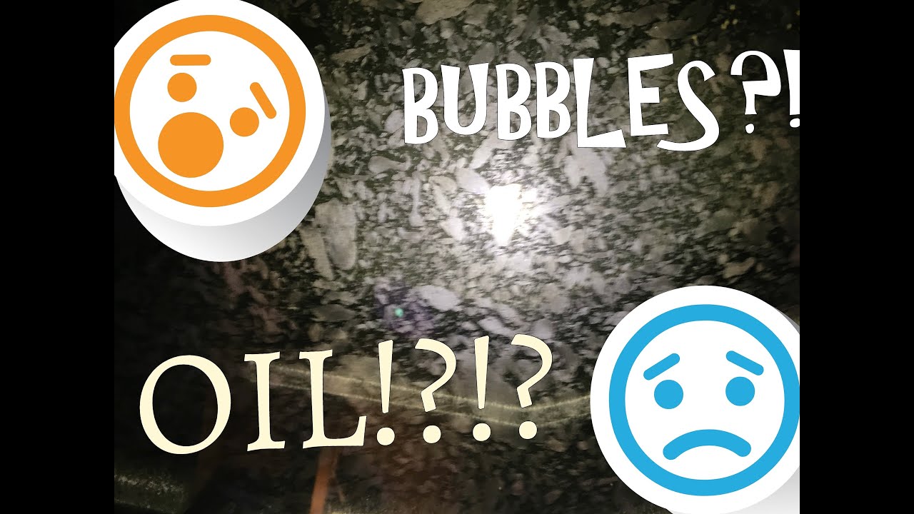 Why Your Aquarium Has an Oil Slick/Bubbles! - YouTube