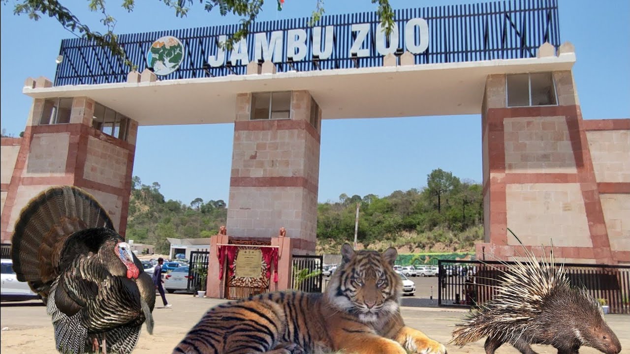 A visit to Jambu Zoo Jammu | North India's Largest Zoo | Convenient ...