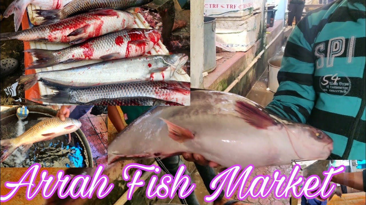 Amazing Fish Market in Arrah || Live Fish Cutting || Alive and Fresh ...