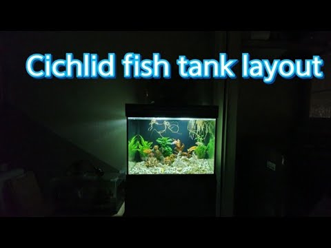 Cichlid fish tank layout 시클리드 어항 레이아웃 aquarium aquatic fishbowl layout ...