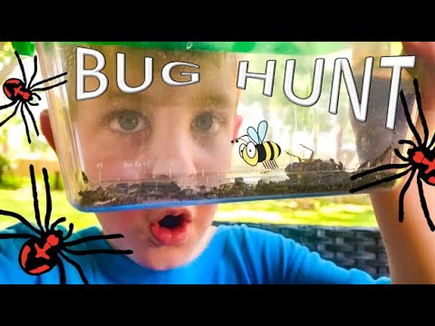 BUG HUNT for REAL Bugs! BUMBLEBEE, Spiders, Roly Polys, EARWIGS ...