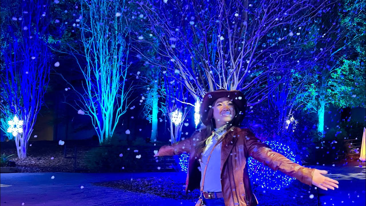 Winter Wonderlights - Greensboro Science Center - YouTube