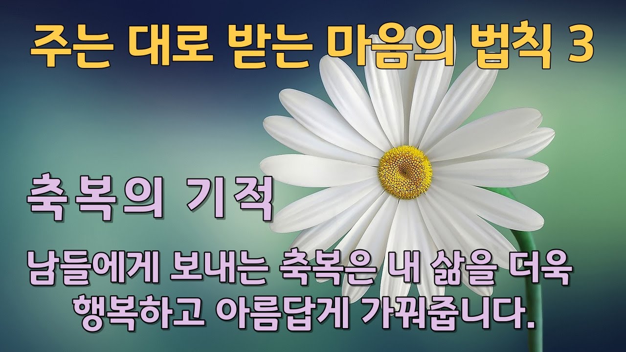 주는 대로 받는 마음의 법칙 3 축복의 기적 남들에게 보내는 축복은 내 삶을 더욱 행복하고 아름답게 가꿔줍니다