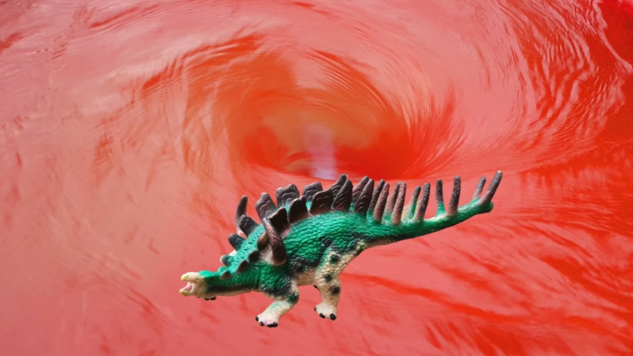 Whirlpool Relaxing With animals video , new wonderfull animals - YouTube