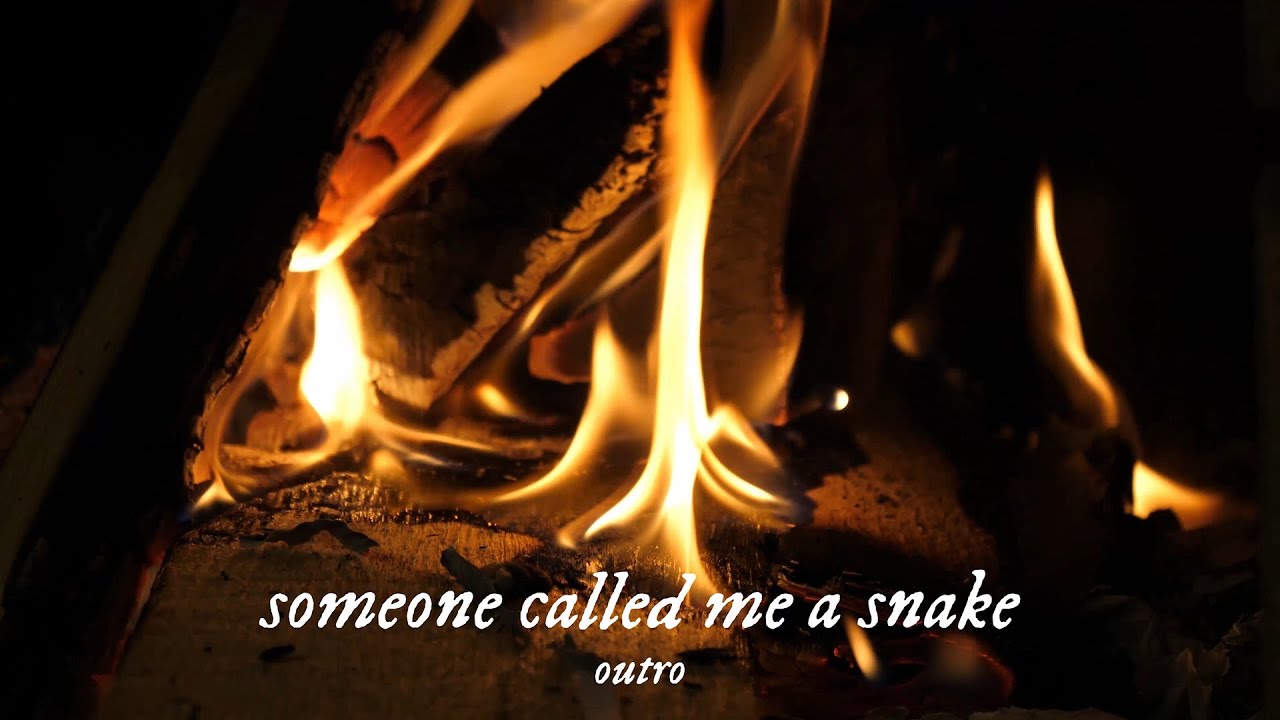 Taylor Swift - Someone Called Me A Snake (Outro) (Lyric Video) (4K ...