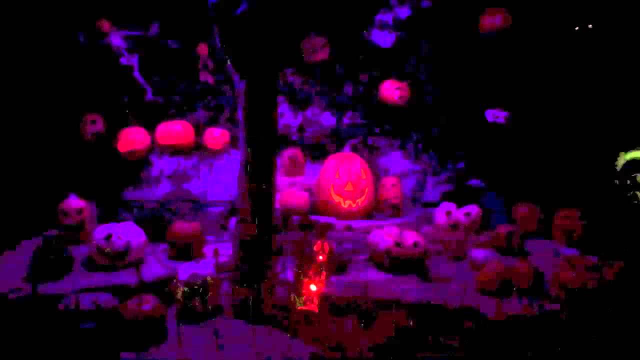 Hollow Tones sing Purple People Eater - YouTube