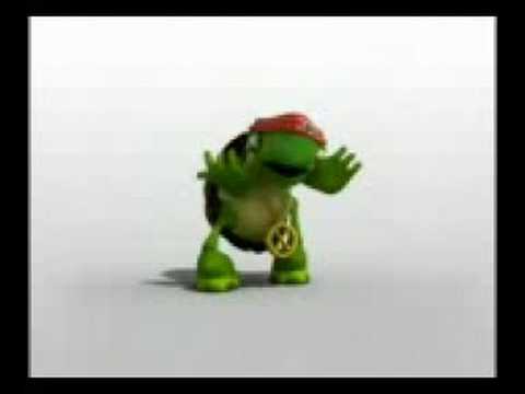 Rapping turtle so funny - YouTube