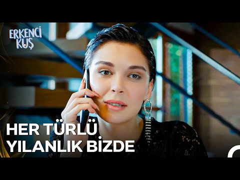 Sinsilik Denince Akla Aylin Gelir - Erkenci Kuş