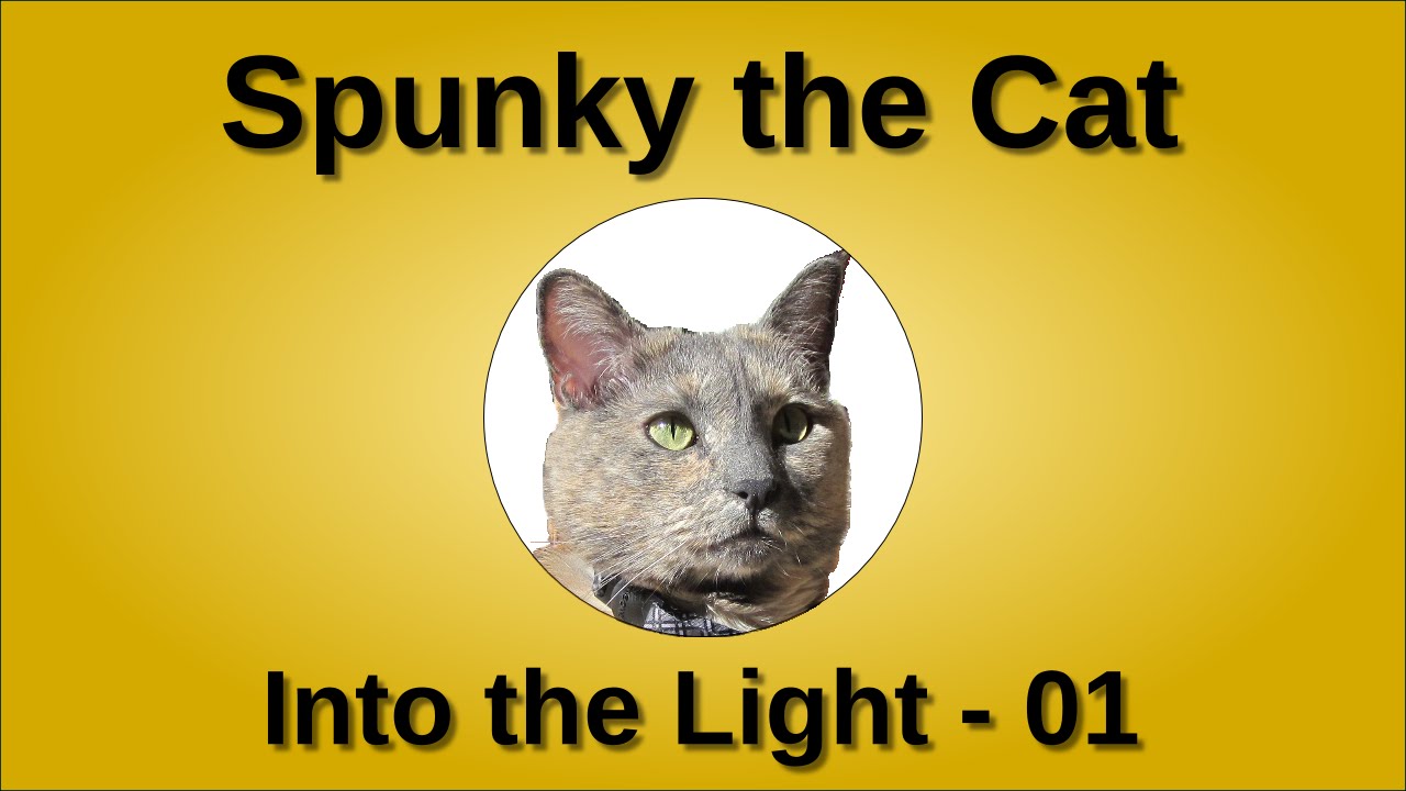Spunky the Cat - Into the Light (Episode 1) - YouTube