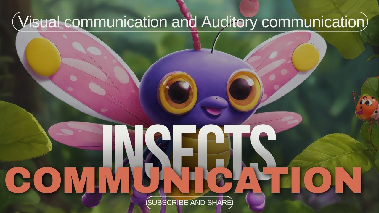 Insect communication|Visual communication|Auditory communication # ...