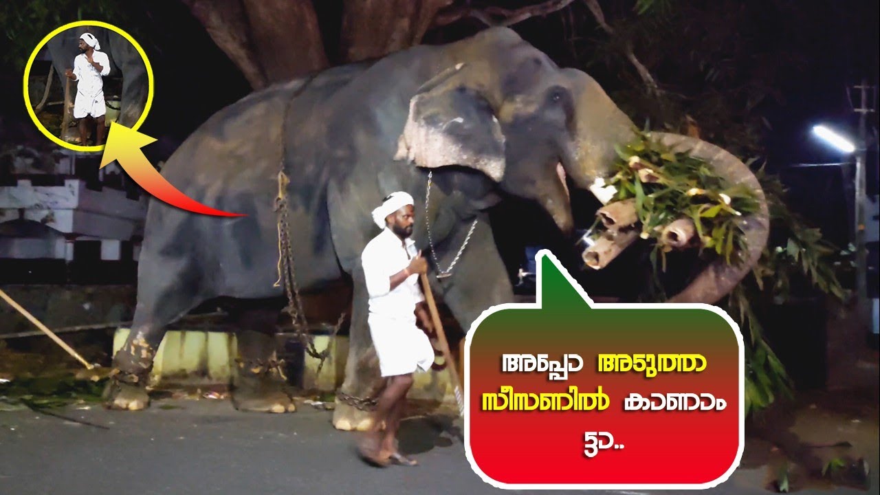 പാമ്പാടി രാജന്റെ യാത്ര പറച്ചിൽ 🤩 | Pambadi Rajan | Pambadi Rajan Latest ...