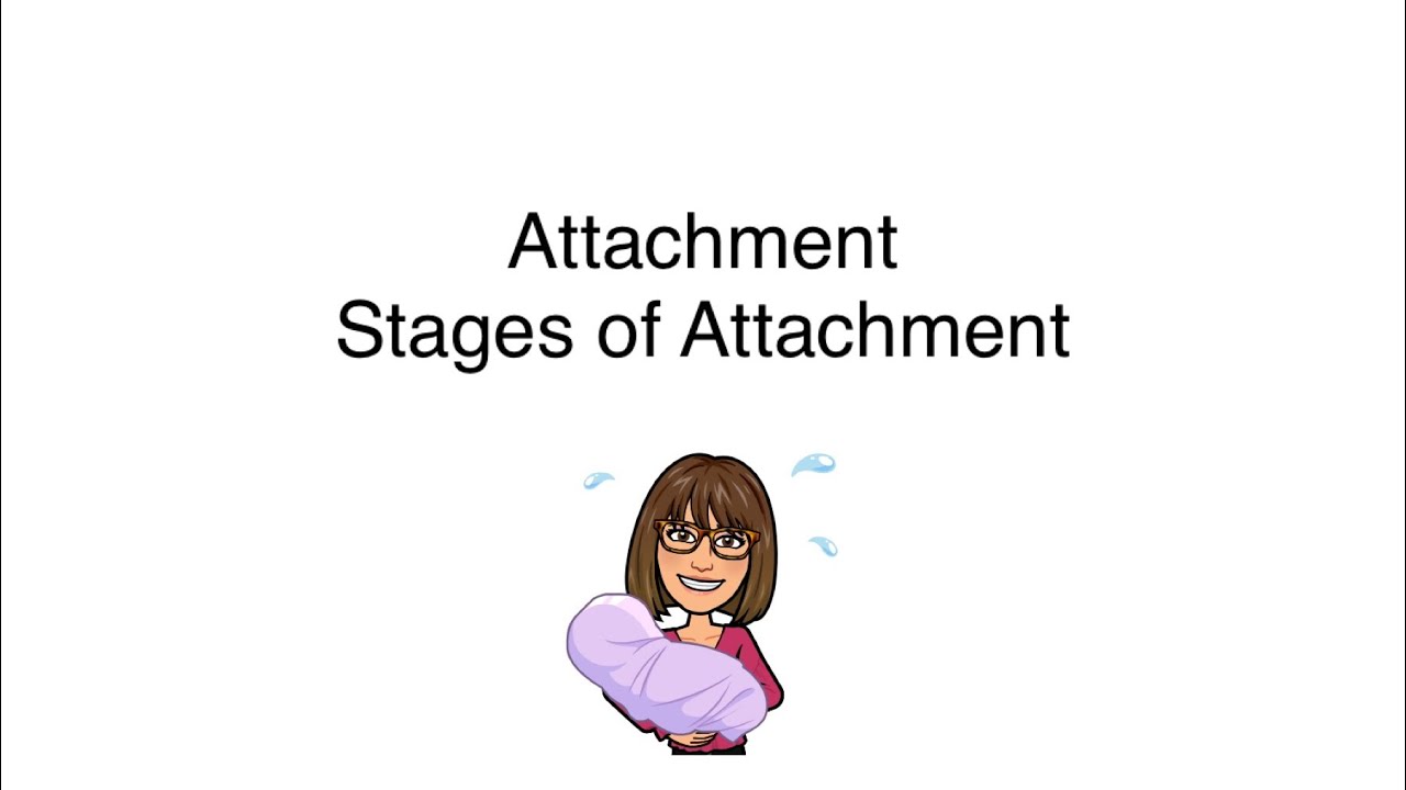 Attachment Stages of attachment - YouTube