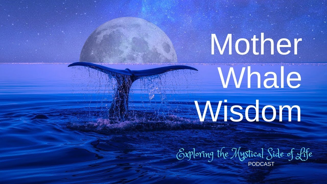 Mother Whale Wisdom (Podcast) - YouTube