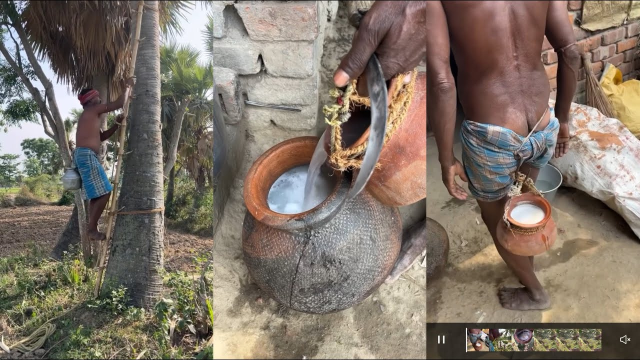 Original Tadi - YouTube