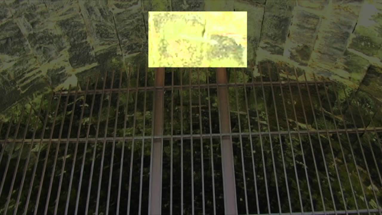 Flying Rods? Strange flying anomaly caught on video - YouTube