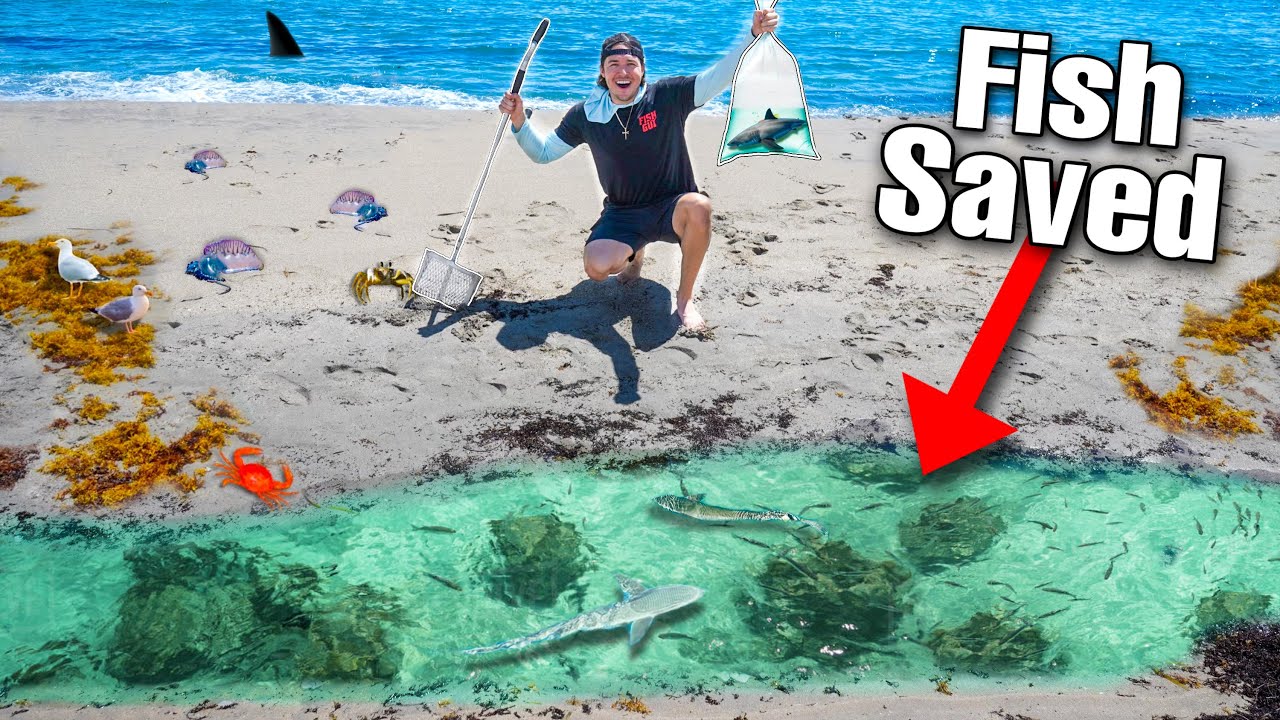 CREEPY FISH FOUND In BEACH TIDE POOL! (what's inside?) - YouTube