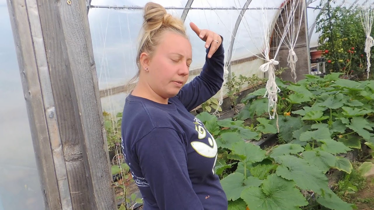 AN UPDATE AND A DAY OF JUST GOOFING OFF! - YouTube