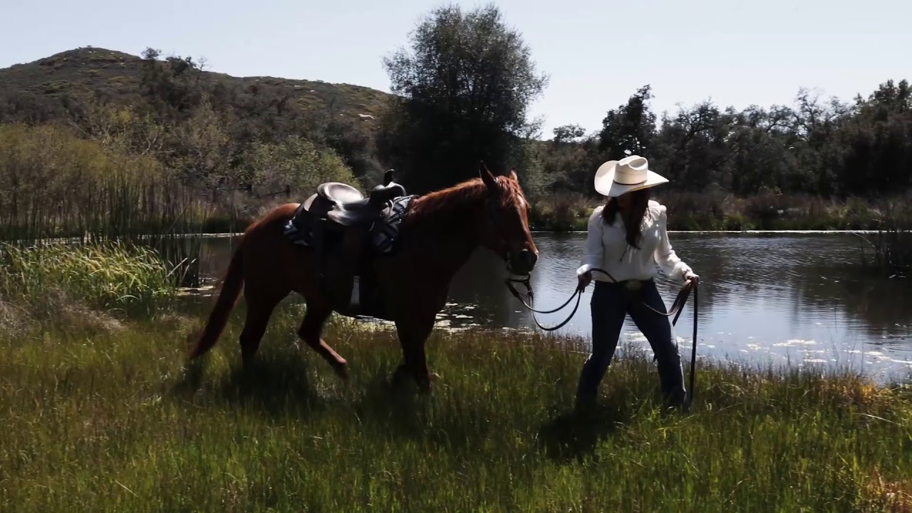 DD Ranch Virtual Walkthrough - YouTube