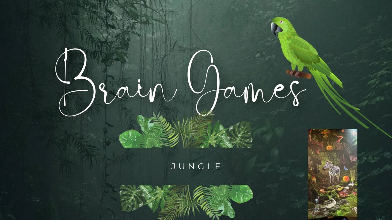 Brain 🧠 Game / Jungle stress reliever - YouTube