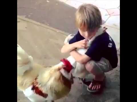CHICKEN HUGS KID - YouTube
