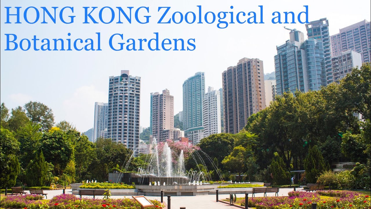Hong Kong Zoological and Botanical Gardens - YouTube