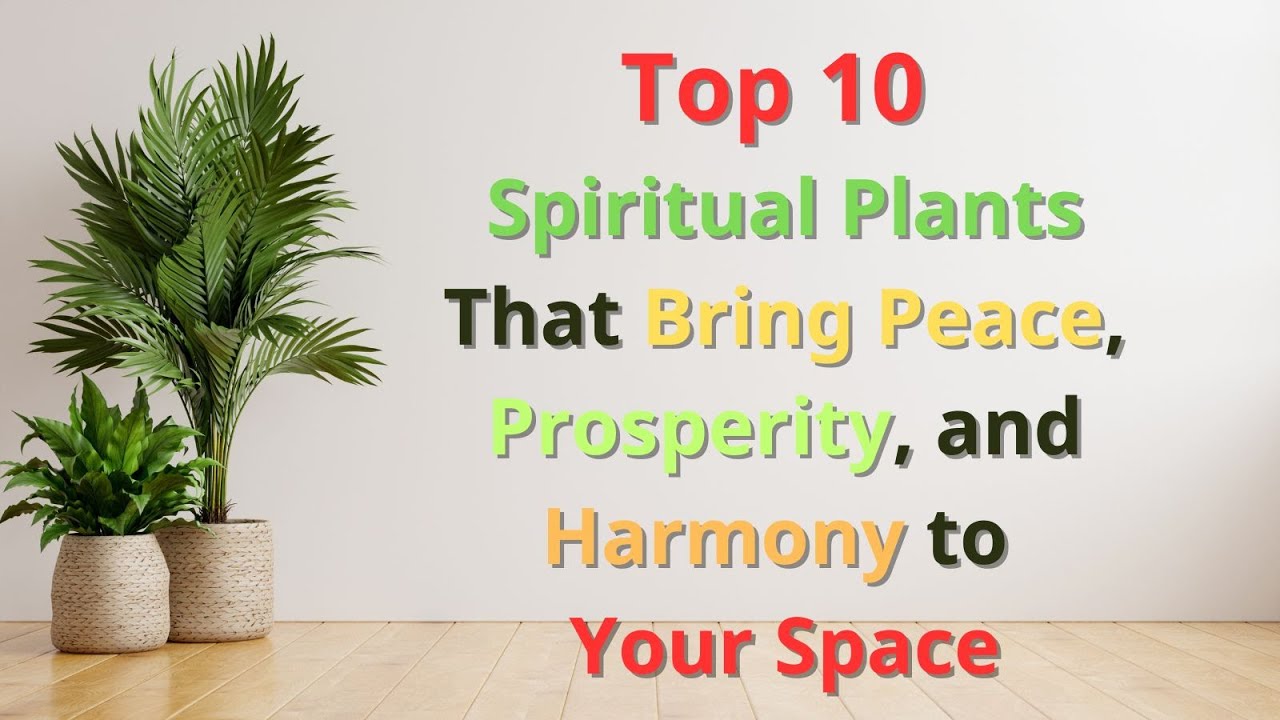 The Top 10 Spiritual Plants That Bring Peace, Prosperity, and Harmony ...