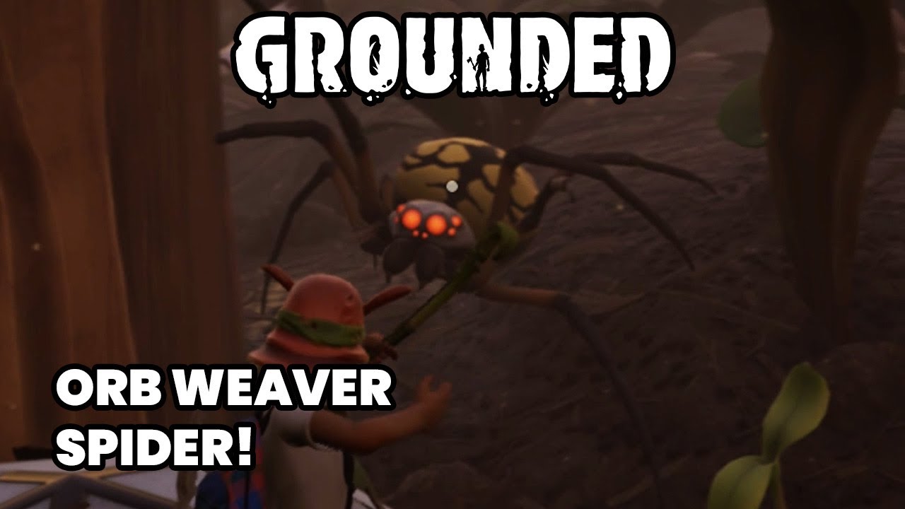 How to Defeat the Orb Weaver Spider in Grounded Game? - YouTube