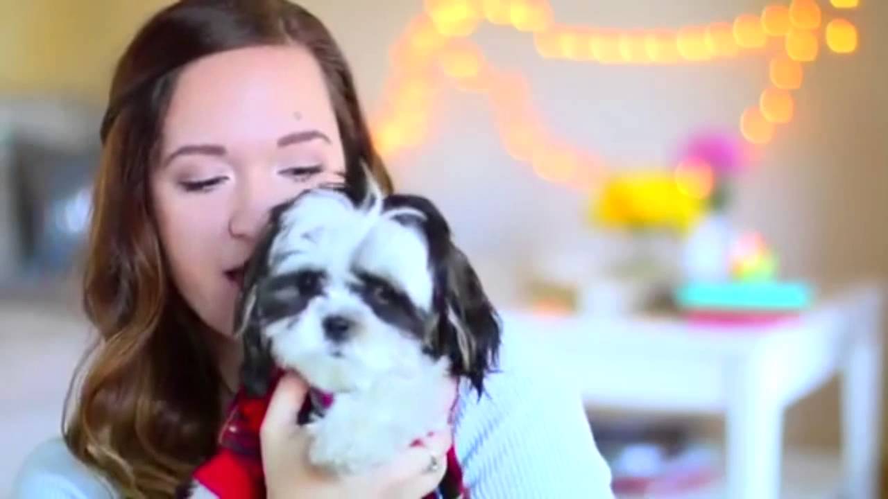 Chlo Monayy | Official Music Video - YouTube