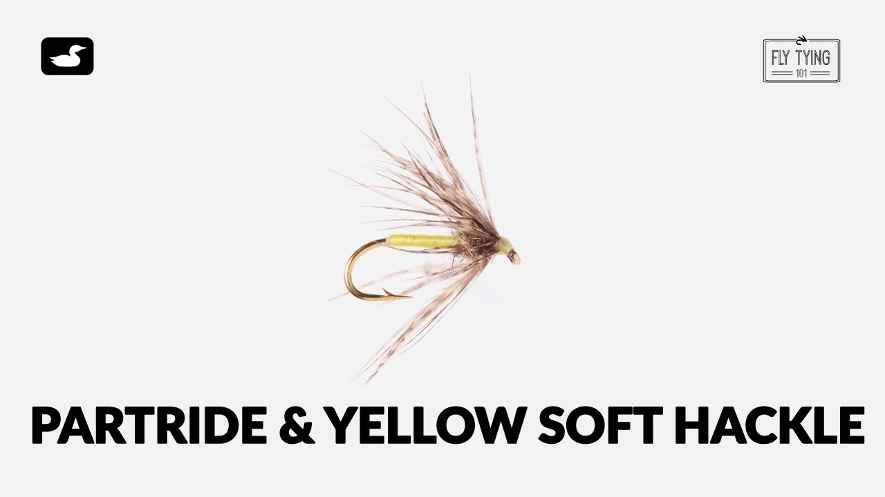 Fly Tying Tutorial: Partridge & Yellow Soft Hackle - YouTube