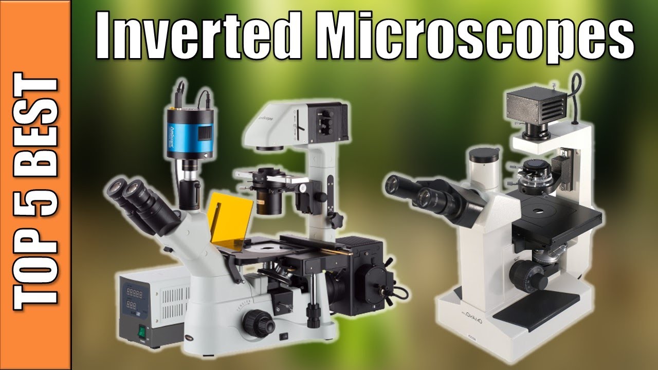 Best Inverted Microscopes 2020 - Top 5 Inverted Microscopes Reviews ...
