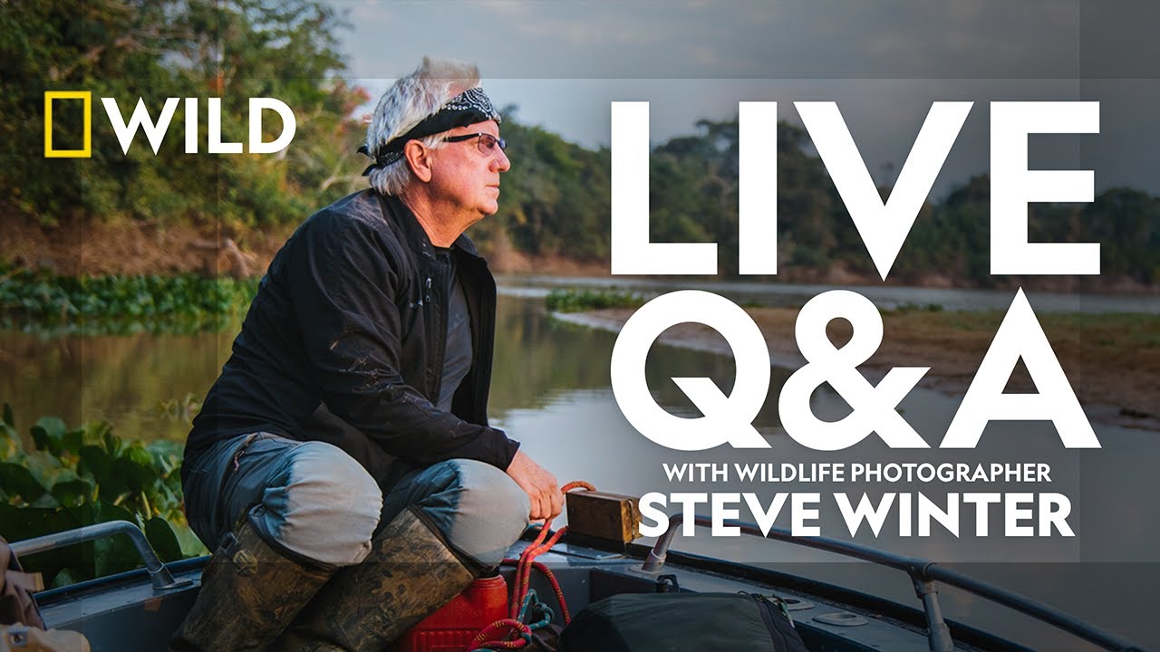 Steve Winter Live Q&A | Photographing Big Cats | National Geographic ...
