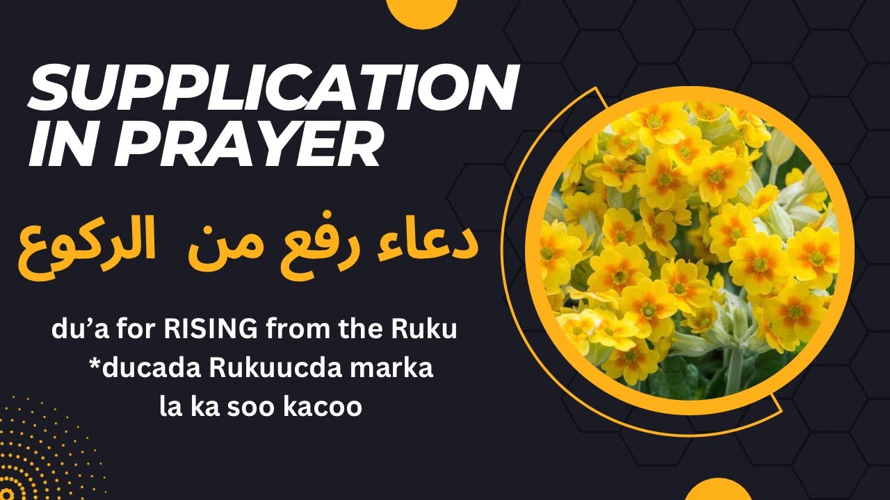 Supplication in prayer | أدعية في الصلاة | Ducada Rukuucda marka la ha ...