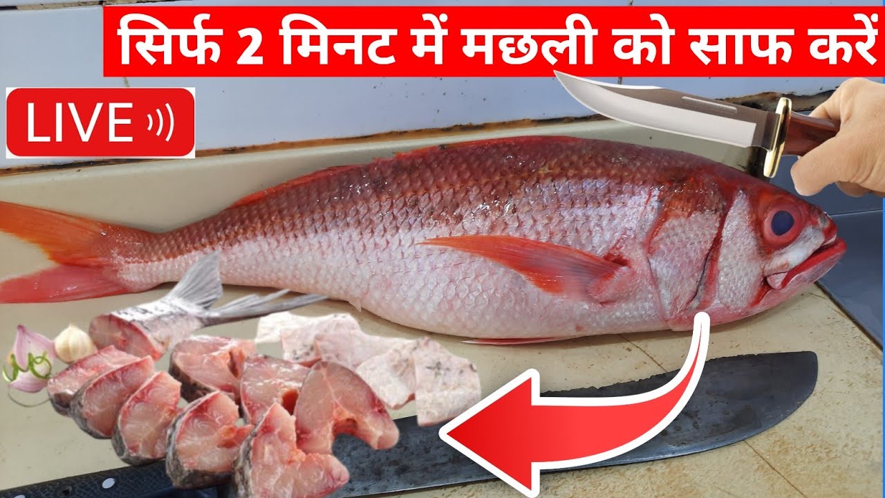 fish cutting Skills Live in Saudi | How to Fish Cutting Skill Live In ...
