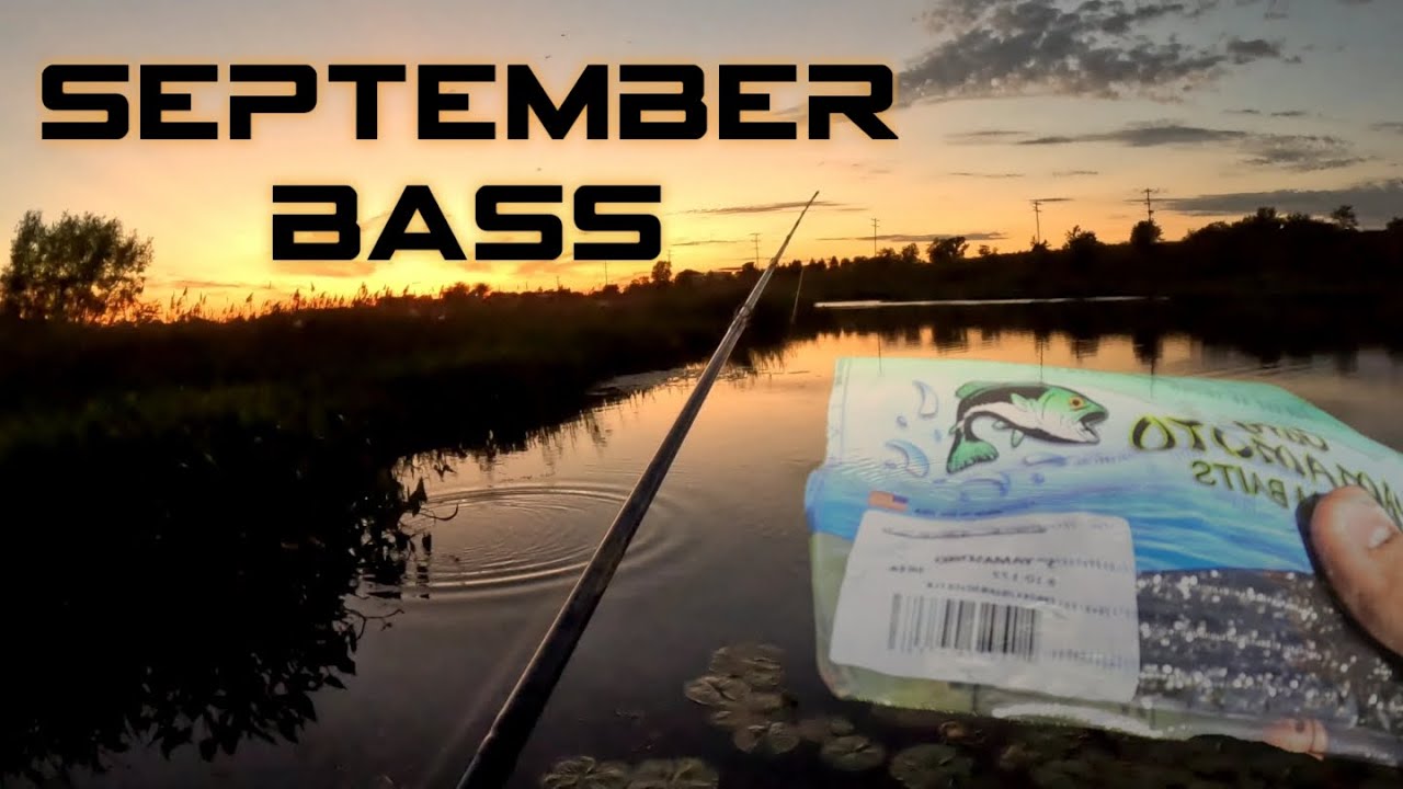ALWAYS Fish A Good Spot At SUNSET Before You Leave! - YouTube