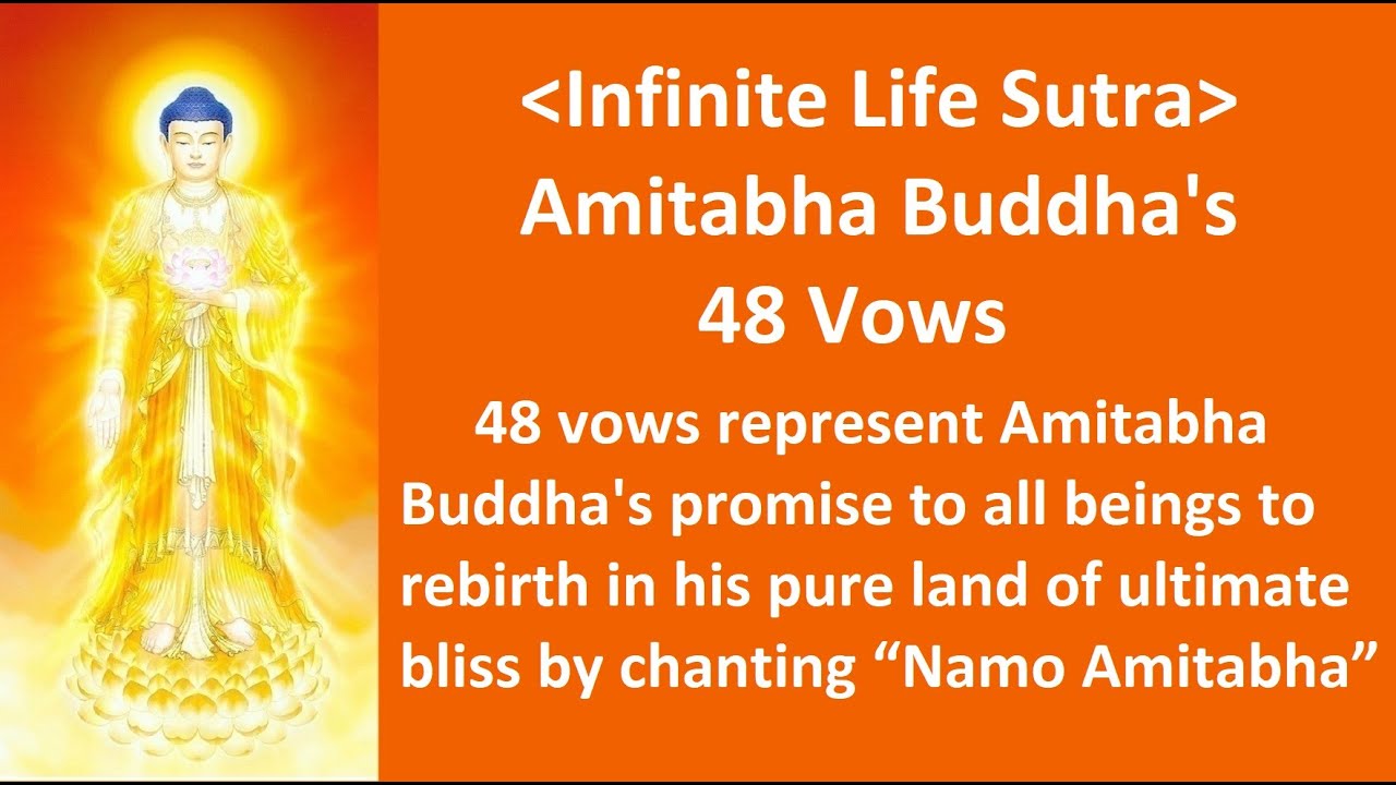 Amitabha Buddha's 48 Vows - representing his promise to all beings ...