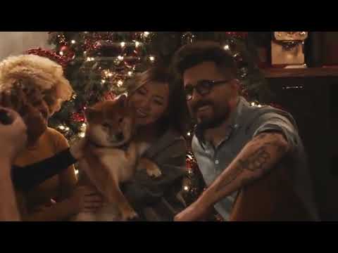Marvin cumpleaños dogue - YouTube
