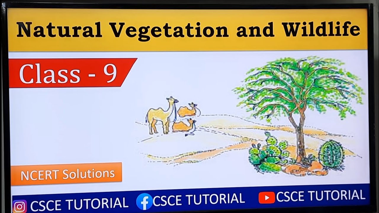 Class 9 Natural Vegetation and Wildlife || Class 9 Geography - YouTube