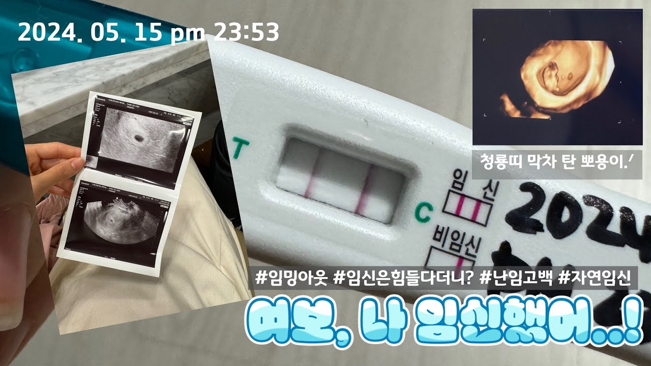 임신 Vlog 임밍아웃 임신 극초기 9주차 증상 공유 청룡띠 막차 탄 임산부 일상 안녕하세요 저는 뽀용이예요👶🏻