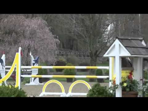 Video of IZABELLA ridden by LEIGH OFER from ShowNet! - YouTube