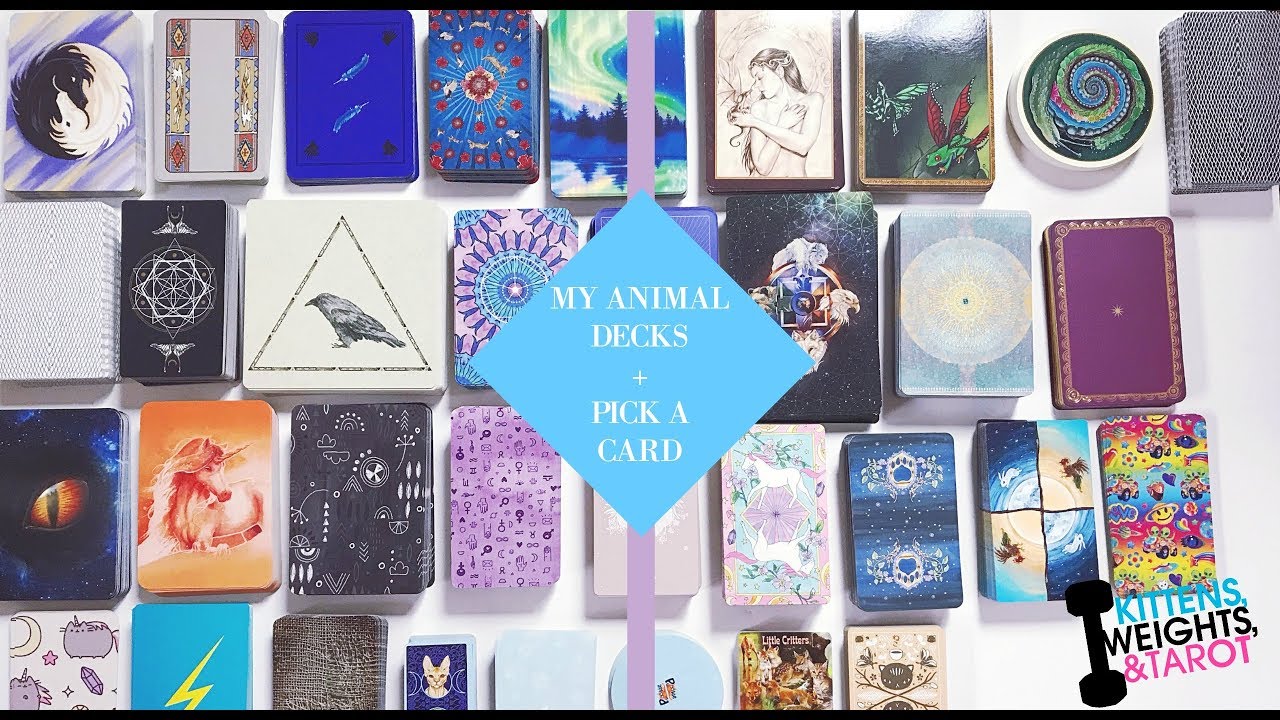 My Animal Decks + Pick a Card - YouTube