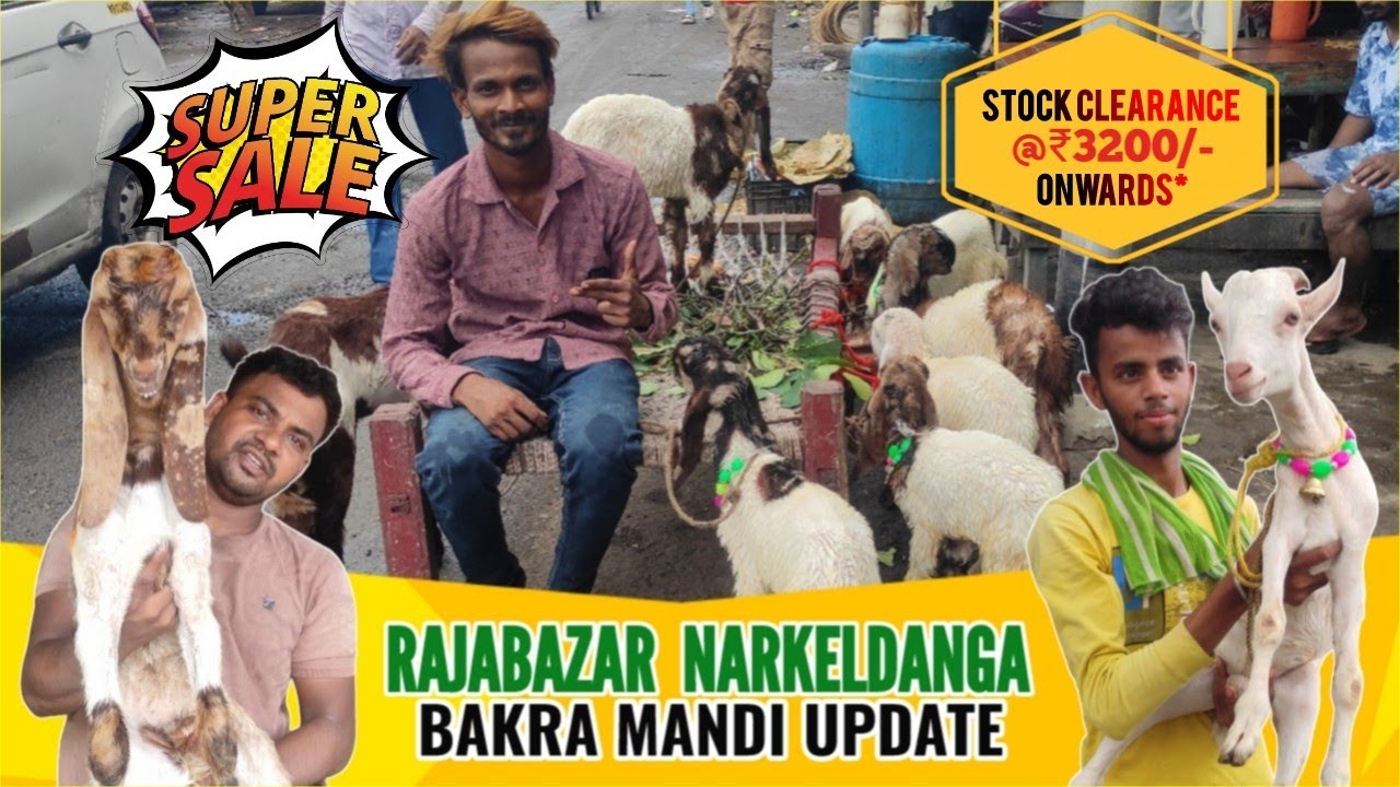 Rajabazar Narkeldanga Bakra Mandi Update | Starting @₹480 P/Kg | ₹3200 ...