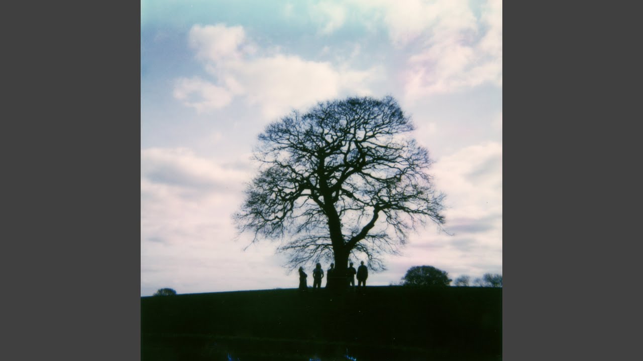 The Big Trees, The Little Trees - YouTube Music