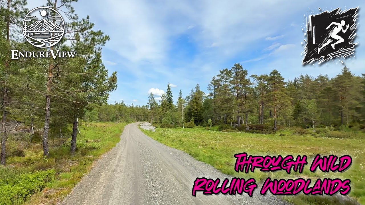 Virtual Running | Gravel Run Through Wild, Rolling Woodlands - YouTube