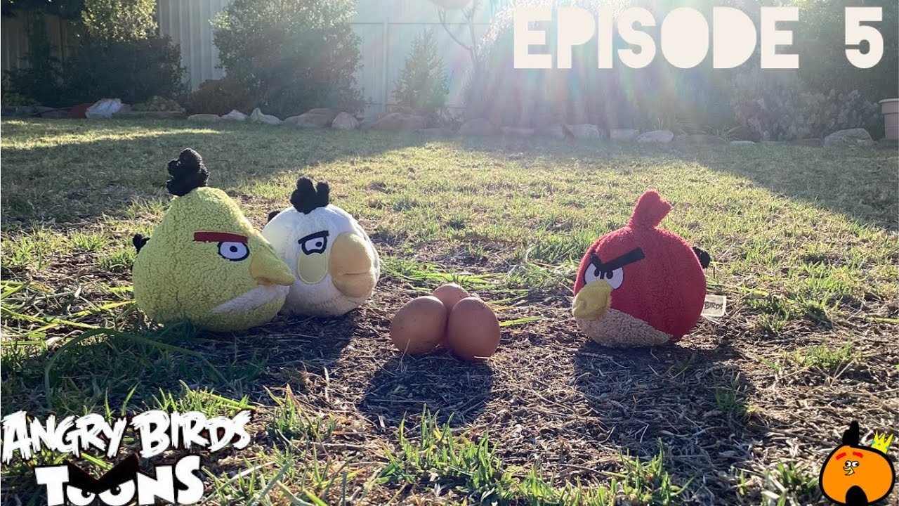 Angry birds toons: “Egg sounds” (plush version) S1 E5 - YouTube