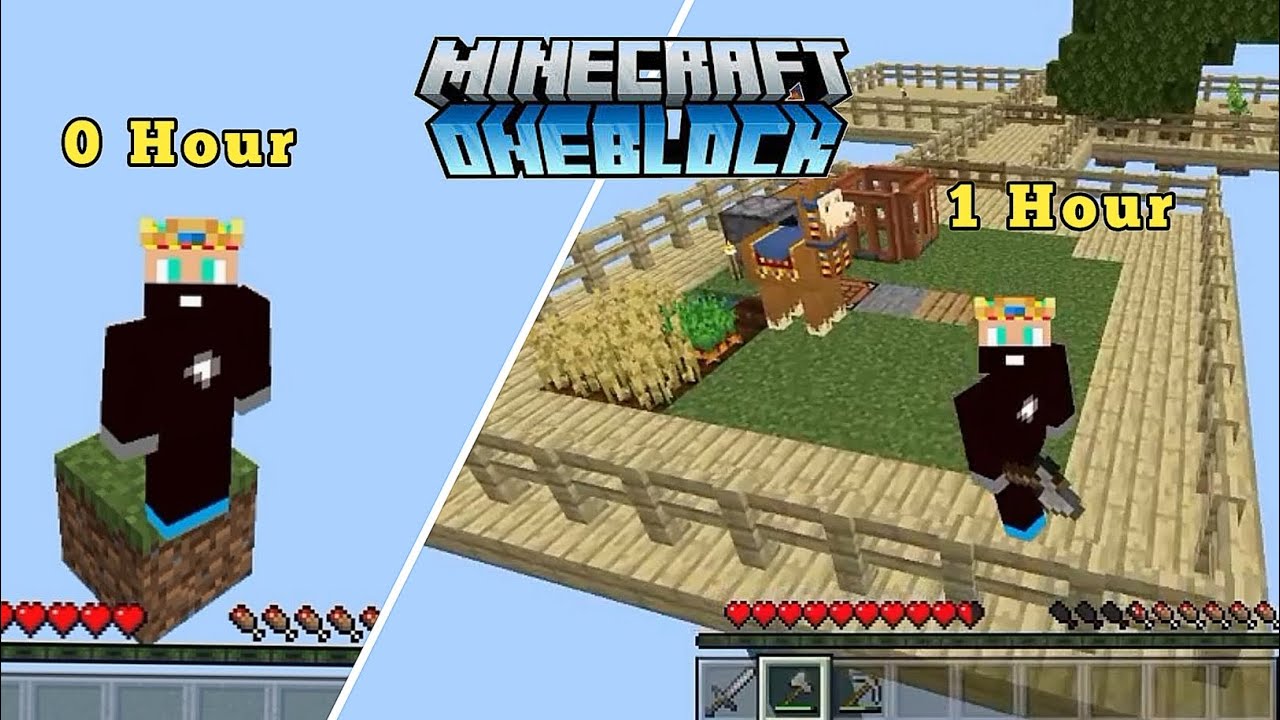 I Played Minecraft One block for 1 hour challenge #1 - YouTube